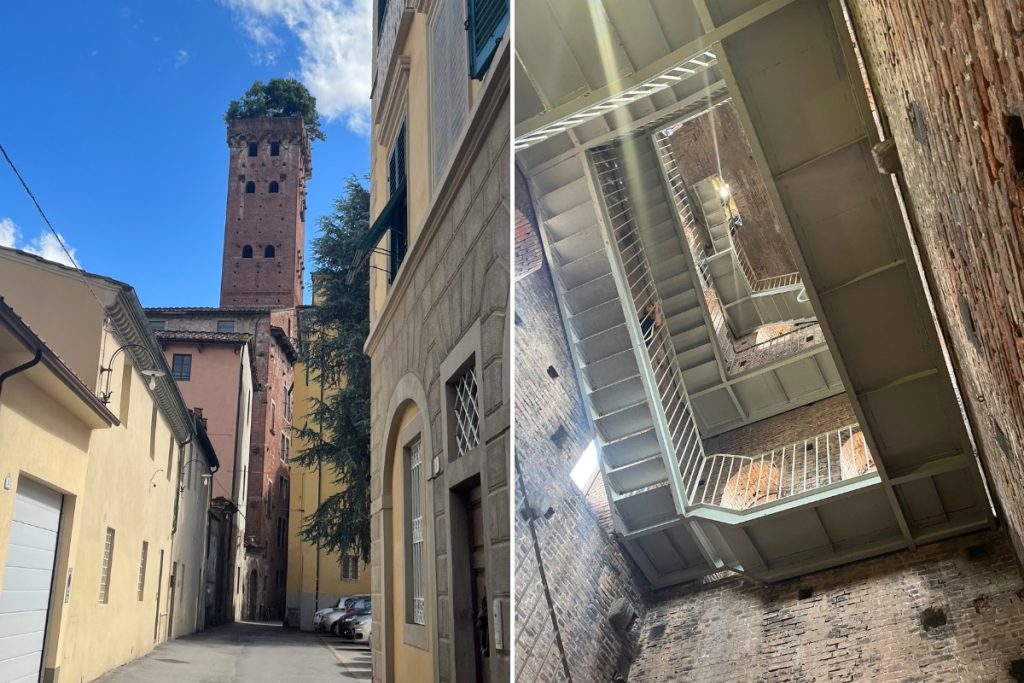 Climbing The Guinigi Tower, Lucca - Amanda Travels | Exploring The World
